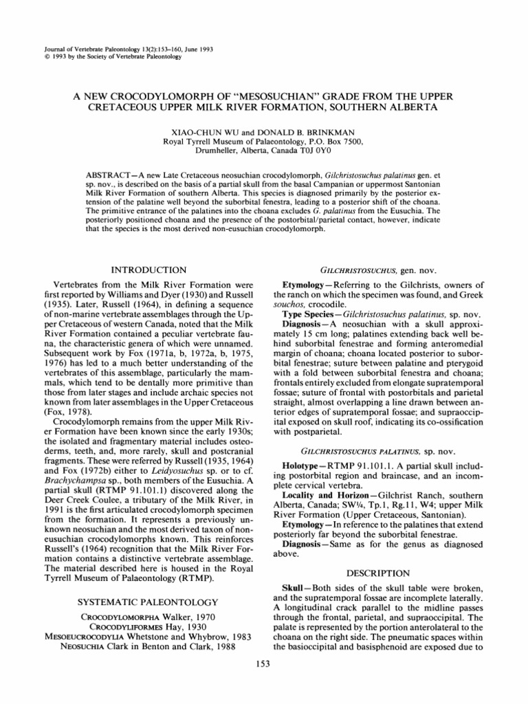A New Crocodylomorph of Mesosuchian Grade From The Upper Cretaceous ...
