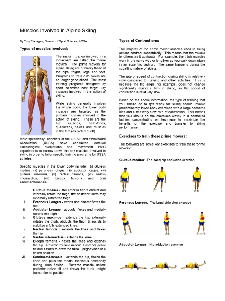 Training Muscles | PDF | Anatomical Terms Of Motion | Pelvis