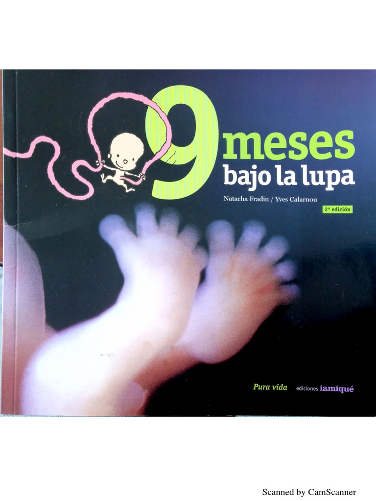 9 Meses Bajo La Lupa | PDF