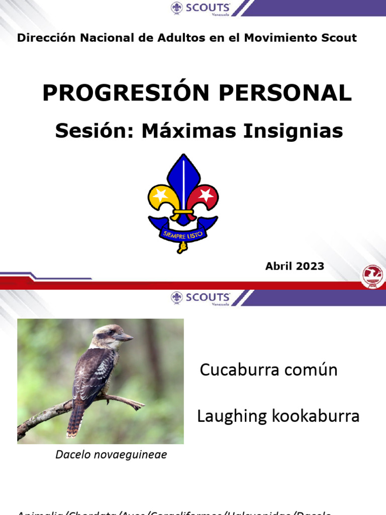 Taller PP - Maxima Insignia | PDF | Exploración