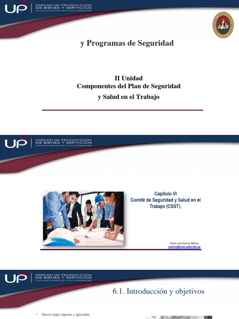 Capítulo 6 - Comite de SST | PDF