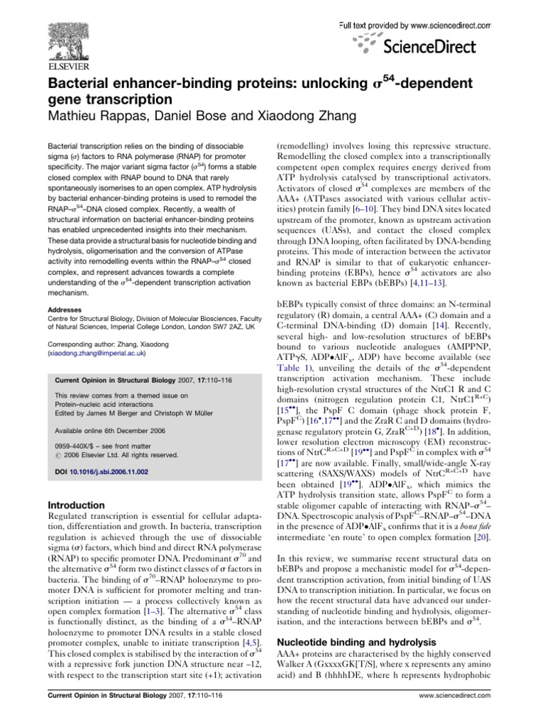 Bacterial Enhancer Binding Proteins Unlocking s54 Dependent | PDF