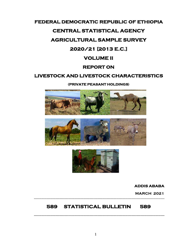 Revised 2013.livestock Report - Final 1 | PDF | Cattle | Livestock