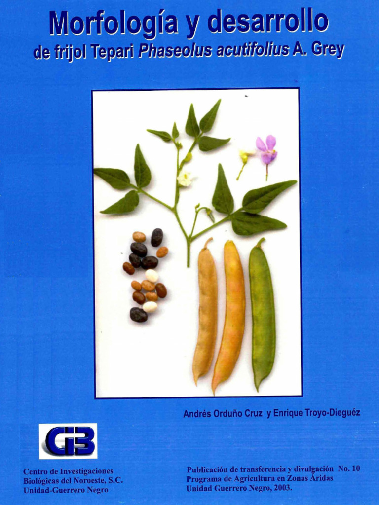 Morfología y Desarrollo Del Frijol Tepari Phaseolus Acutifolius a. Grey ...