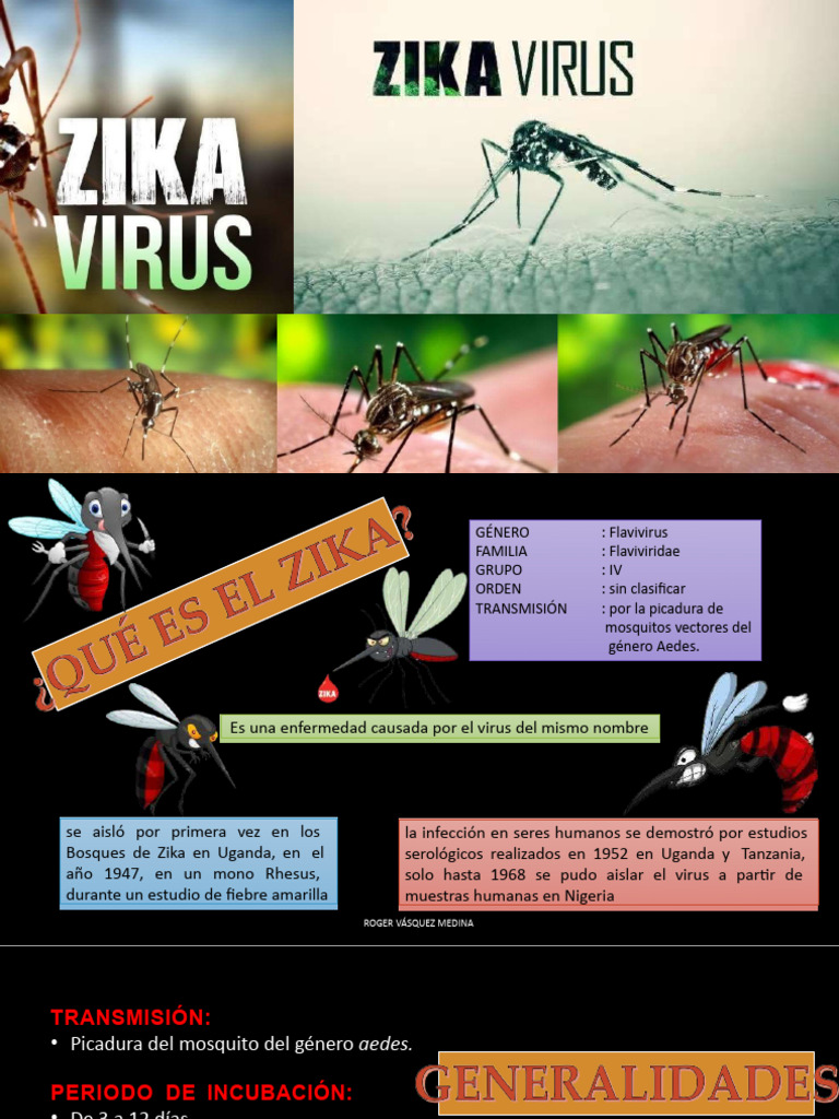 Zika | PDF