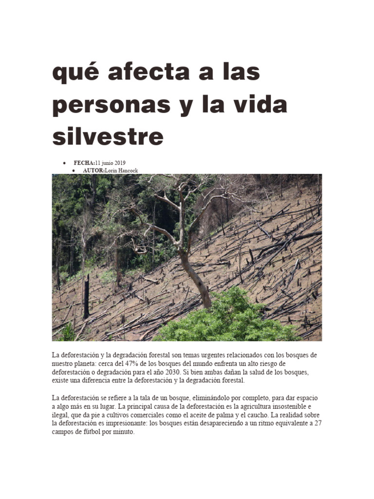 Qué Afecta A Las Personas y La Vida Silvestre | PDF | Deforestación ...