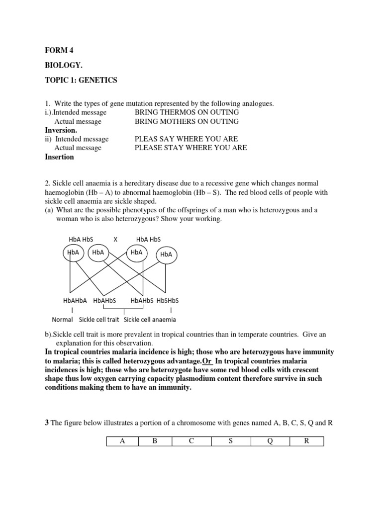 4455 Genetics Questions and Answers | PDF | Dominance (Genetics) | Zygosity