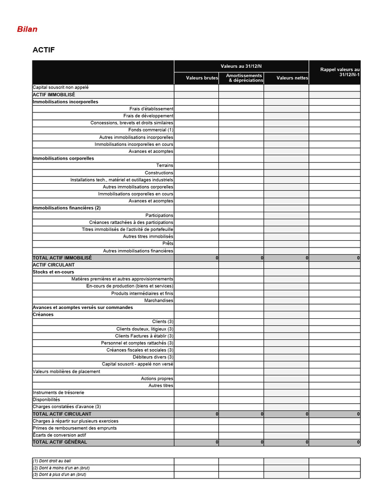 Bilan Excel A Remplir | PDF