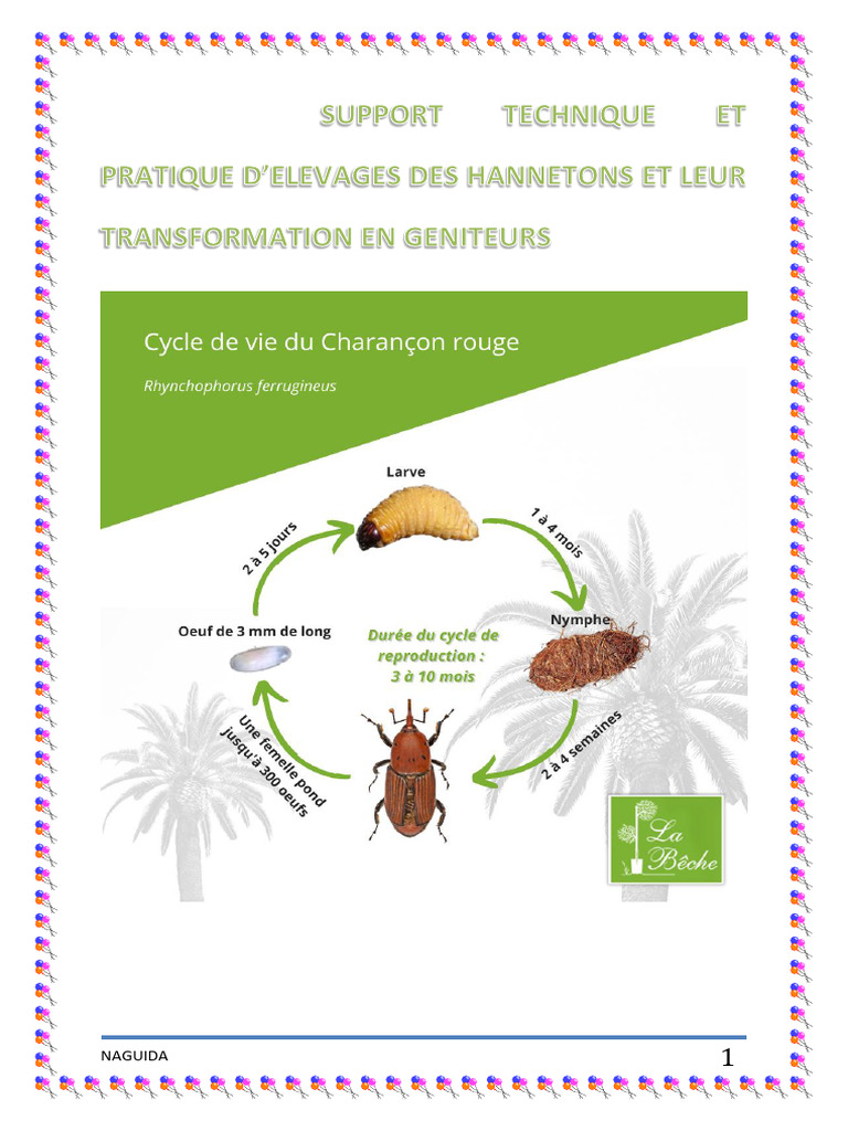 Support Technique D'élevage Des Hannetons | PDF | Livres de cuisine ...