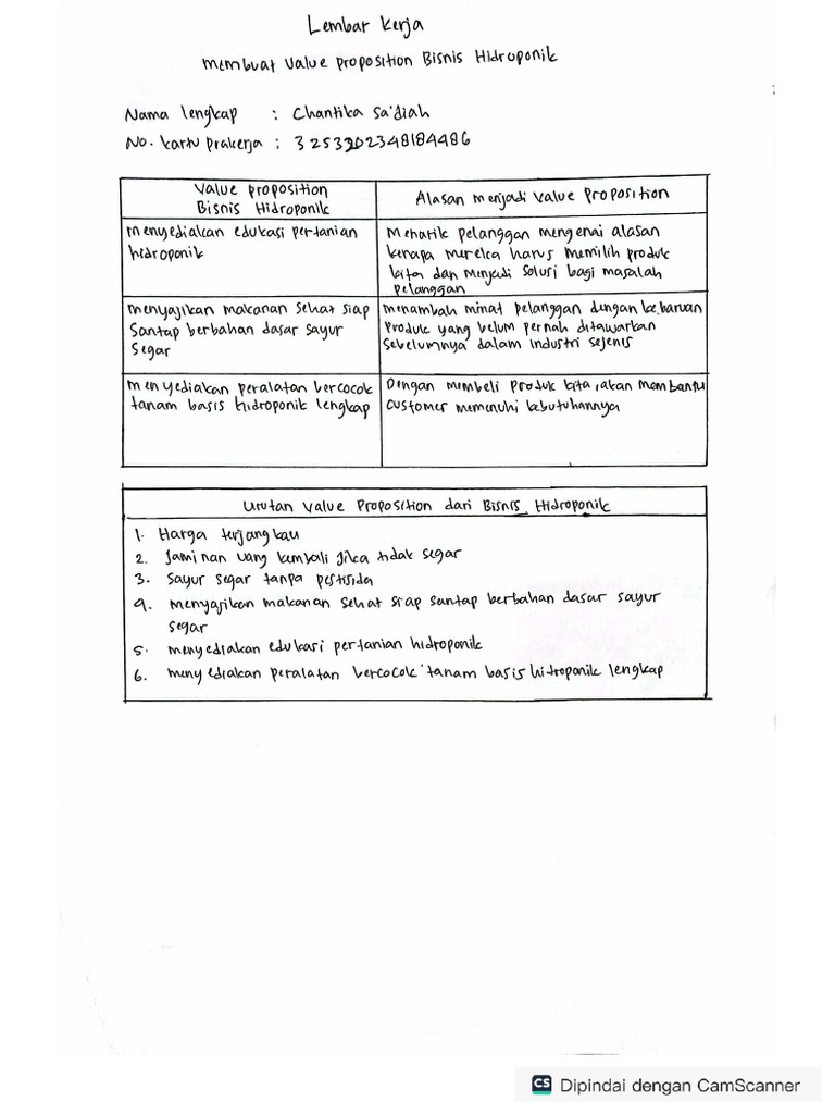 TPM 2 Membuat Value Proposition - Chantika Sa'Diah | PDF