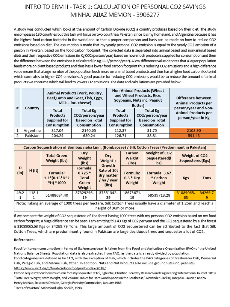 Task 1 - Personal CO2 Savings (Minhaj Aijaz Memon - 3906277) | PDF | Carbon Dioxide | Carbon ...