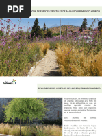 Stipa Ichu | PDF | Plantas | Organismos