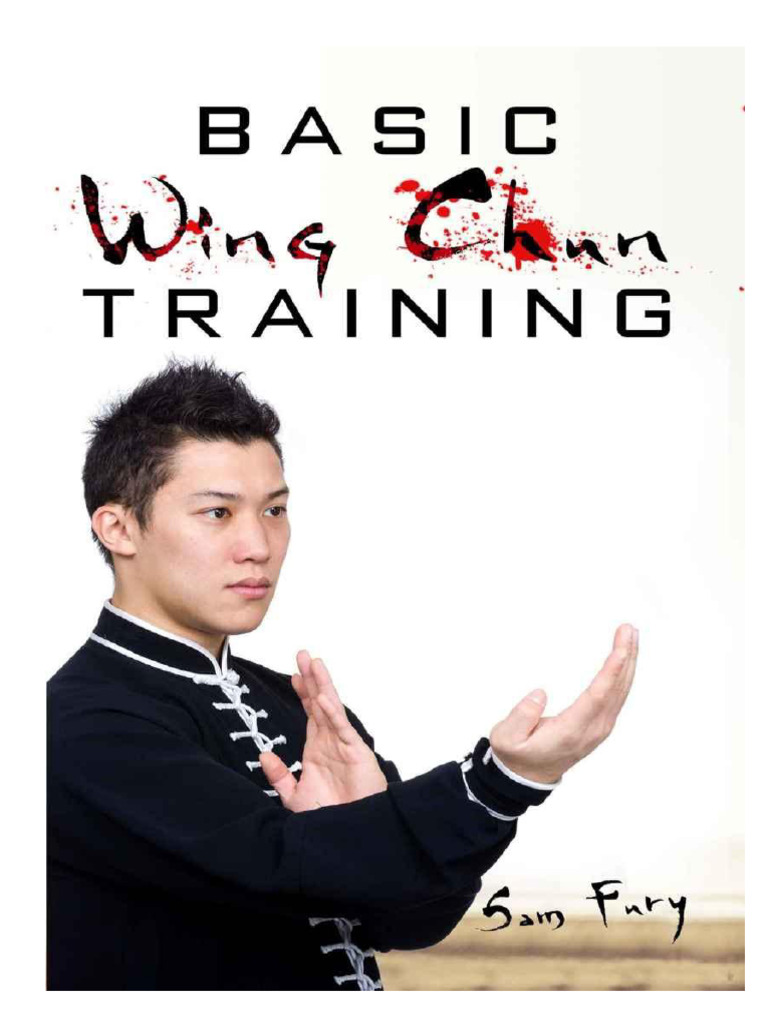 Entrenamiento Básico de Wing Chun | PDF | Extremidades (anatomía ...
