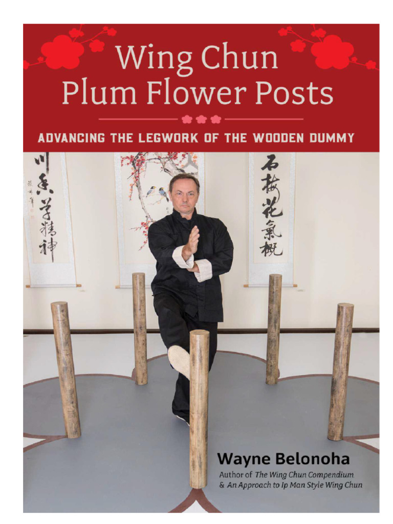 Dominando el Wing Chun con Postes | PDF