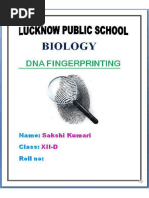 Dna Fingerprinting Investigatory Project 2024-25 Class-12 | PDF | Gel ...