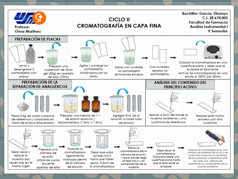 Marcha Análisis Instrumental I Ciclo Ii | PDF | Elución | Cromatografía