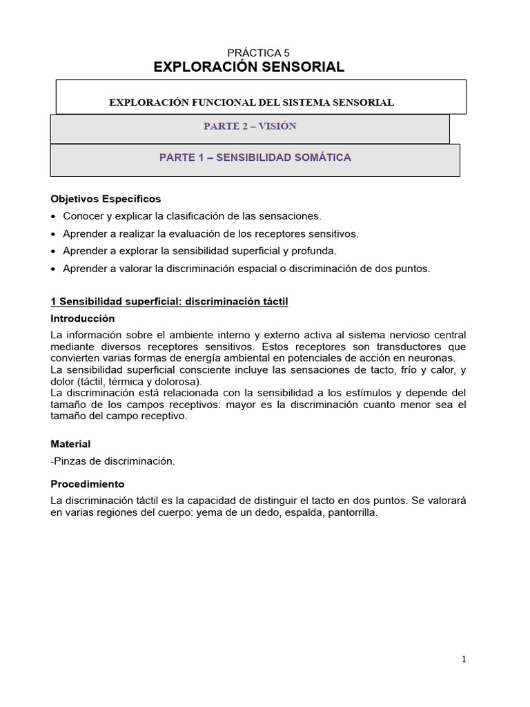 Practica 5-Exploracion Sensorial | Descargar gratis PDF | Ojo humano ...