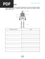 Sistem Rangka Manusia Human Skeletal System | PDF
