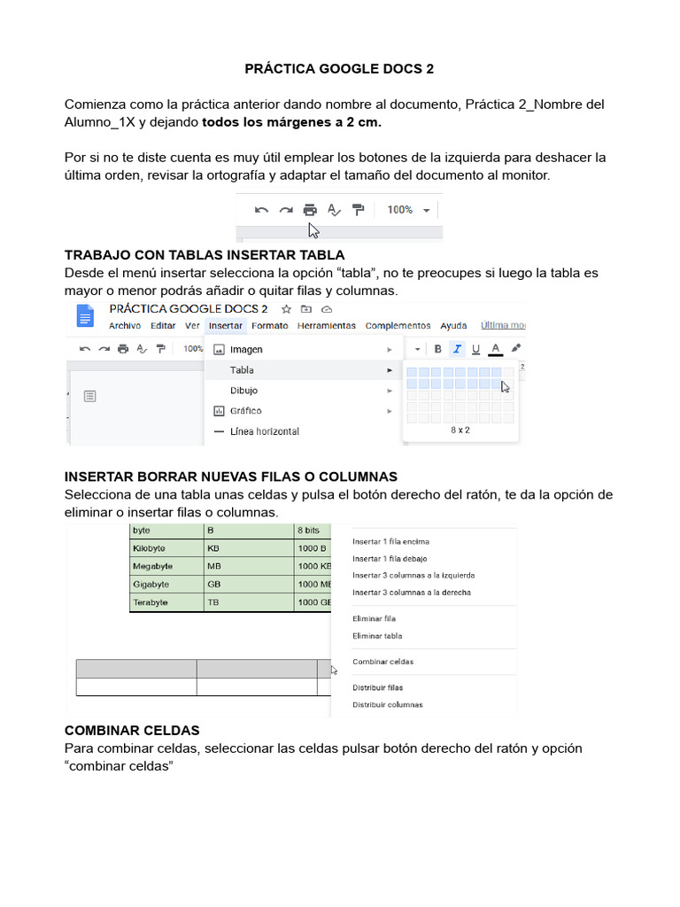 Practica 2 Google Docs-2 | PDF