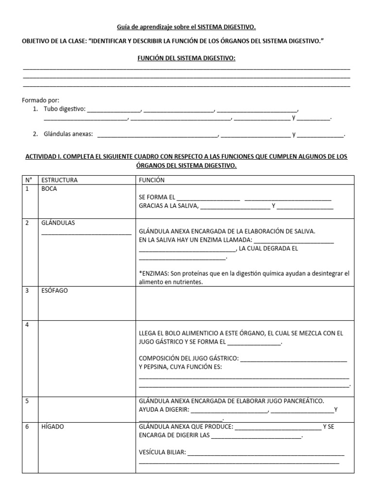 Actividad 8vo Sistema Digestivo | PDF Actividad 8vo Sistema Digestivo | PDF