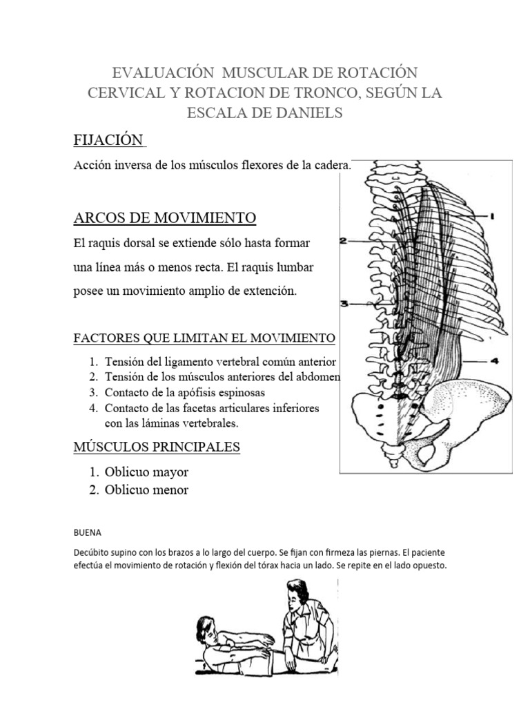 Evaluacion Muscular de Rotacion Cervical y Rotacion de Tronco | PDF ...