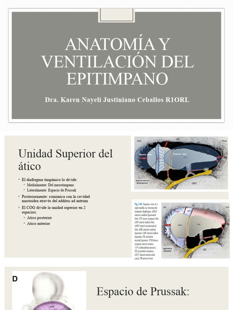 Anatomía del Espacio de Prussak | PDF | Especialidades Medicas | Oído