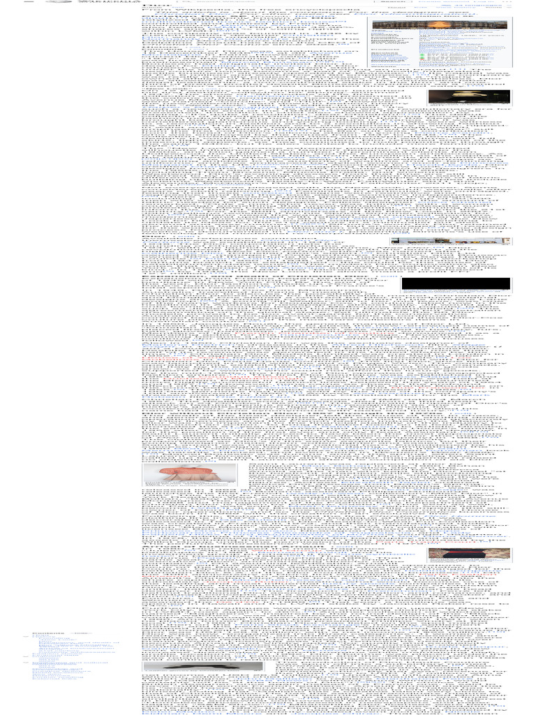 Dior - Wikipedia | PDF