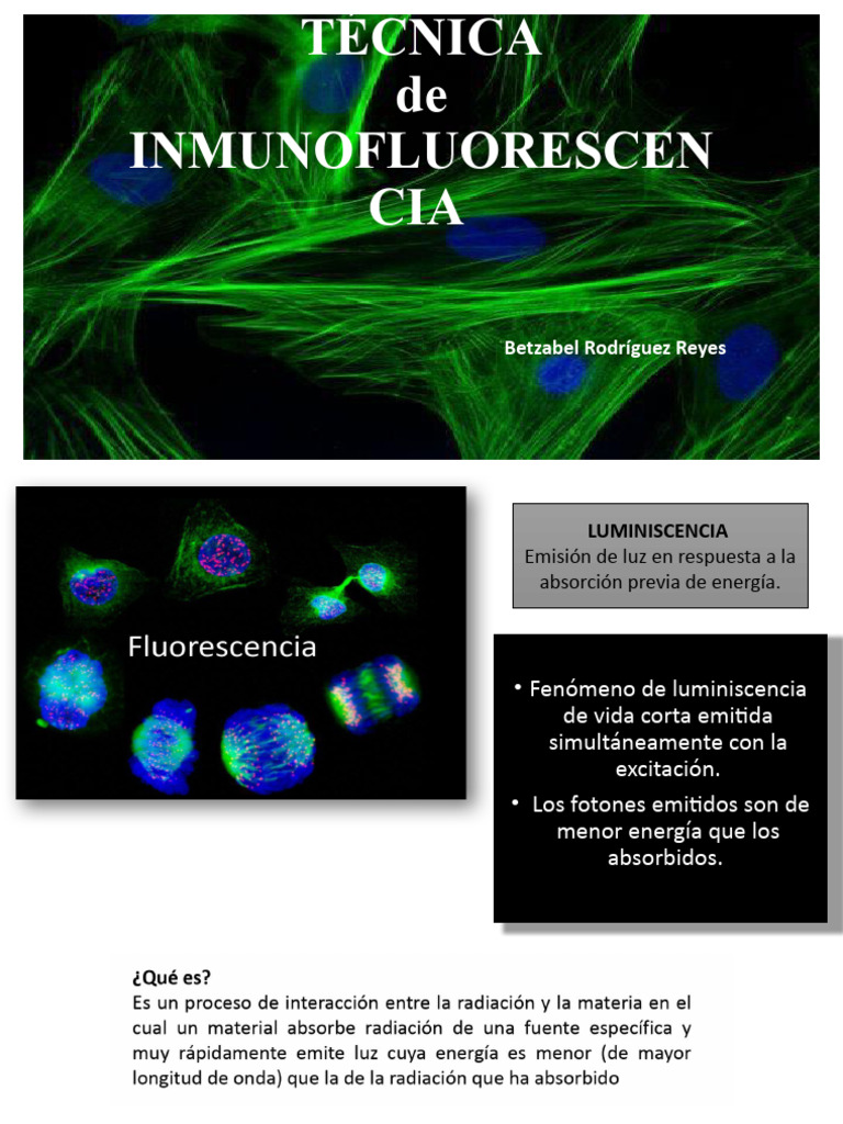 Ténica de Inmunofluorescencia | PDF