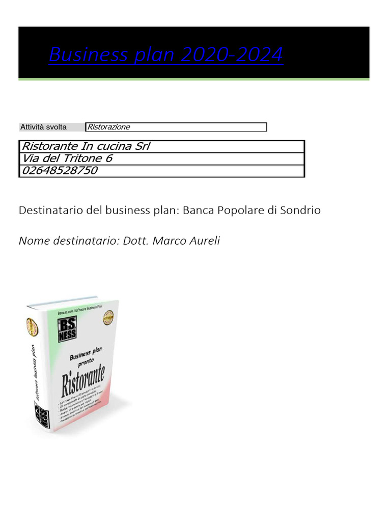 Esempio Business Plan PDF | PDF