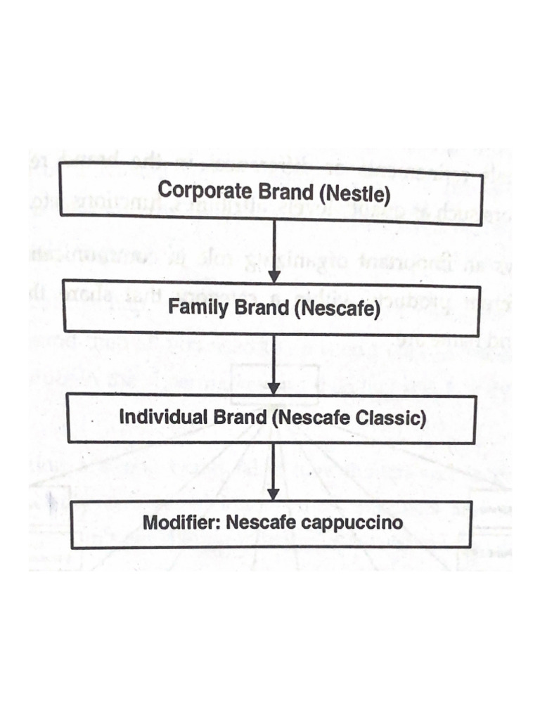 Corporate Brand (Nestle) | PDF