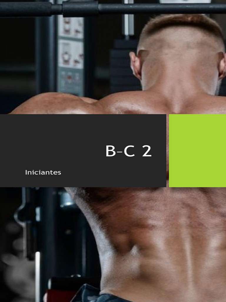 Ficha de Treino A-B-C - 2 | PDF