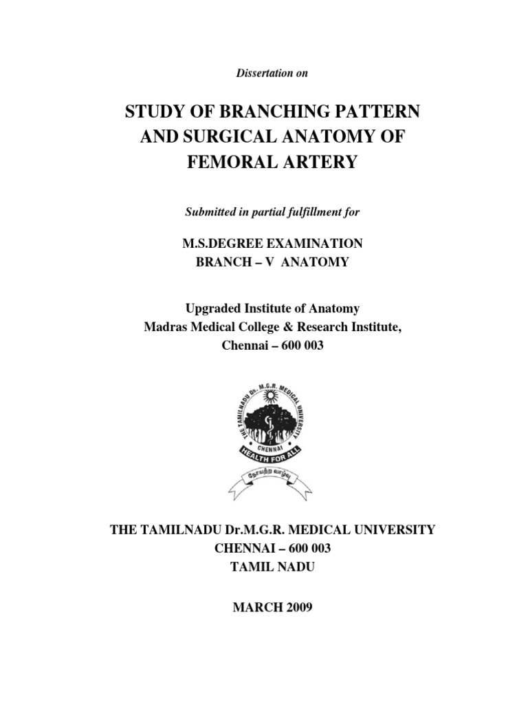 Thesis Femoral Artery1 | PDF