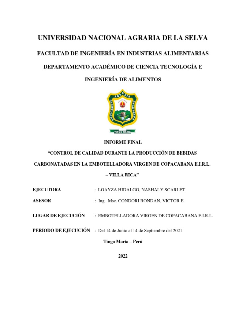 Loayza - Informe Final PPP | PDF