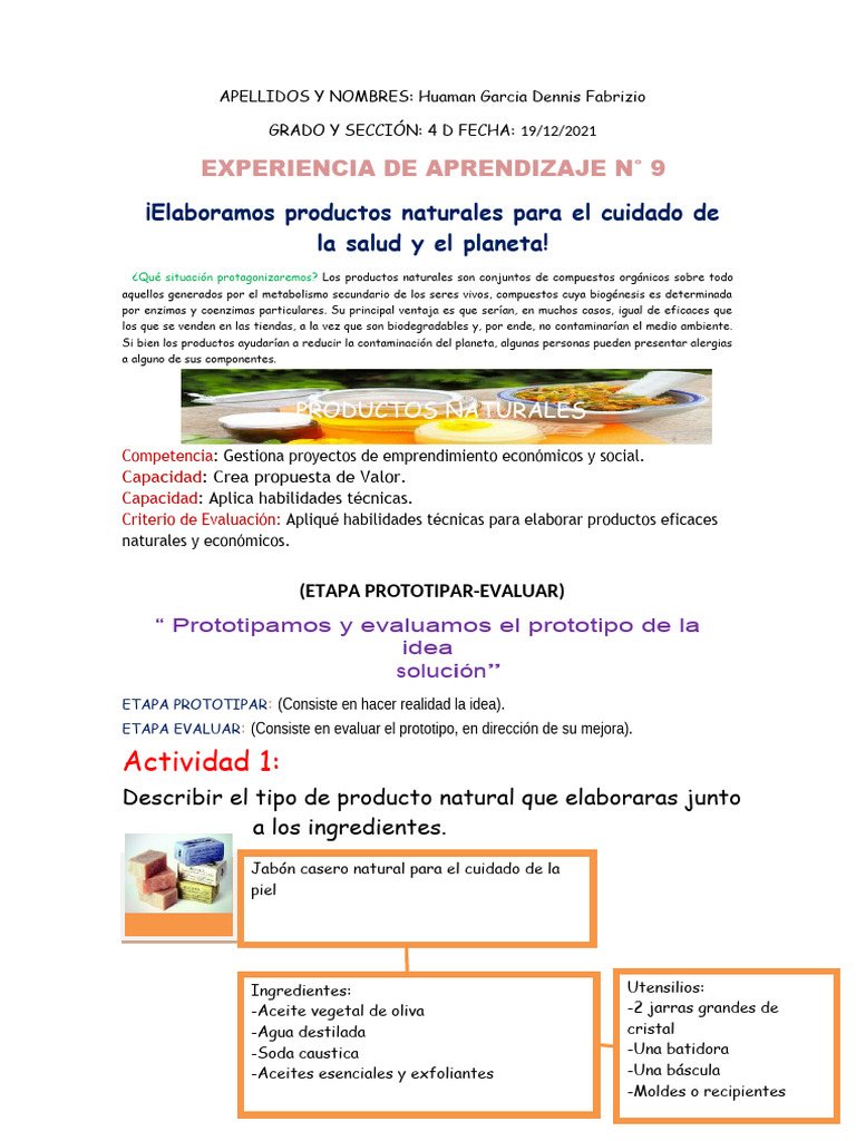 Experiencia de Aprendizaje #9 | PDF | Bienestar