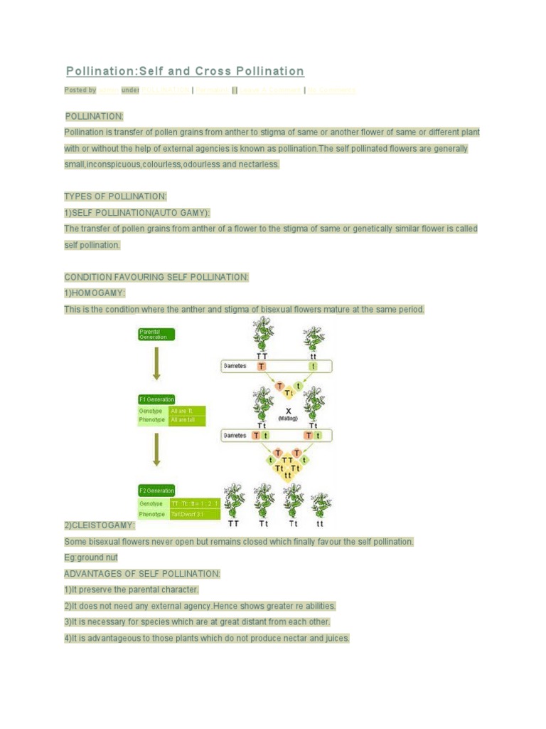 Pollination | PDF | Flowers | Pollination