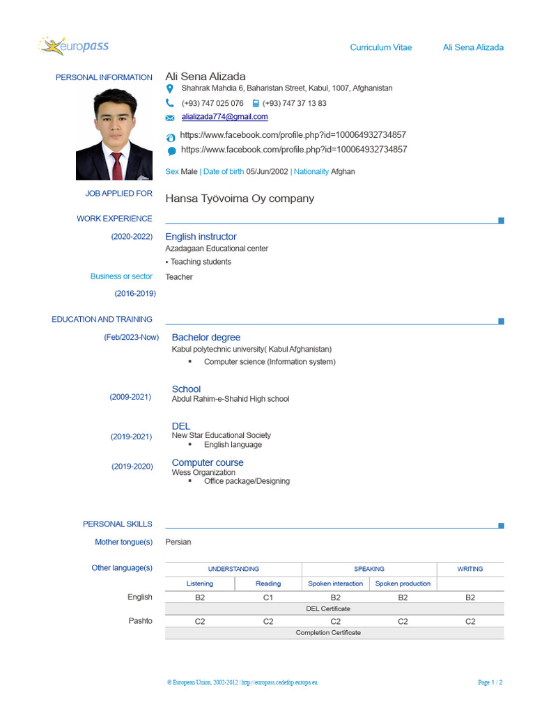 Ali Europass CV Template - Doc2 | PDF