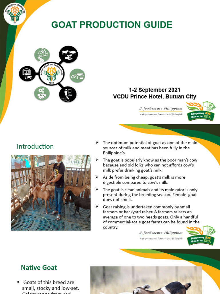 Goat ppt. | PDF | Goat | Milk