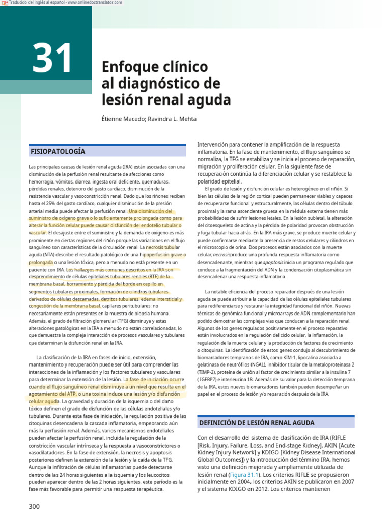 Primer On Kidney Disease 7th Edition AKI - En.es | PDF