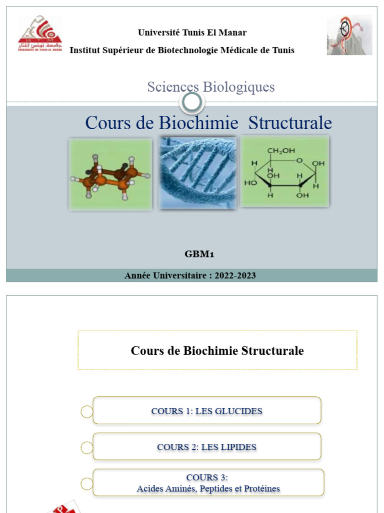 Cours de Biochimie Structurale 2022 2023 GLUCIDES | PDF | Glucide | Isomère