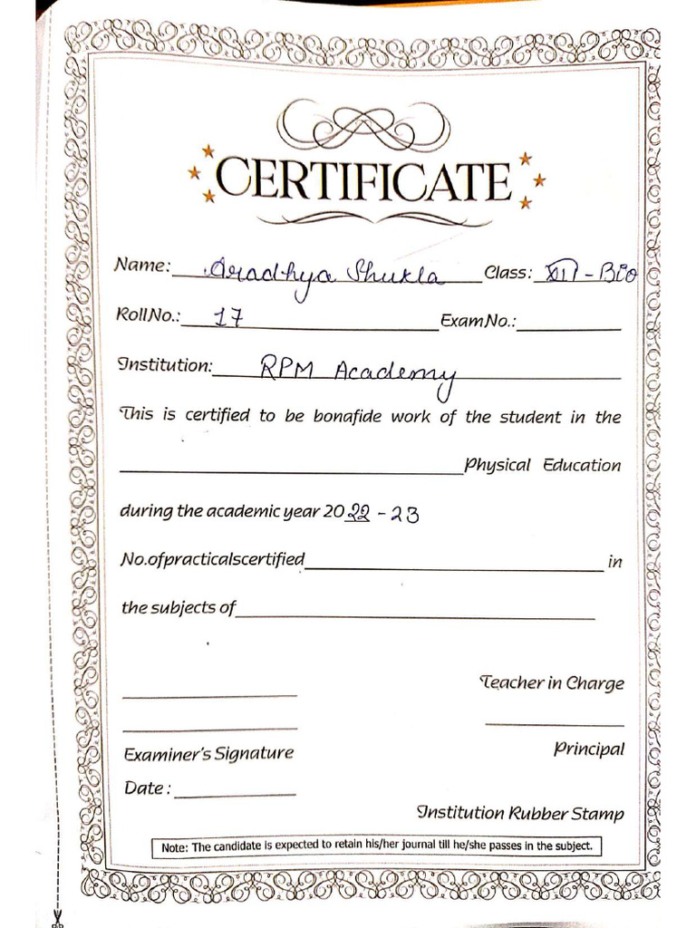 PHYSICAL EDUCATION PRACTICAL FILE | PDF