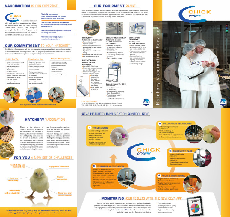 CHICK Program Brochure | PDF