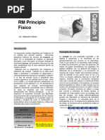 Tipos y Componentes de Resonadores Magnéticos | PDF ...