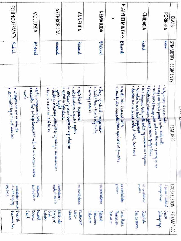 Vertebrates and Invertebrates Table | PDF