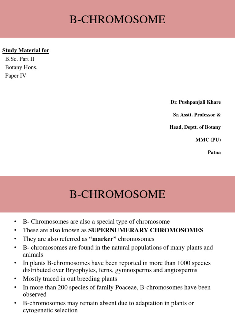 B Chromosome | PDF