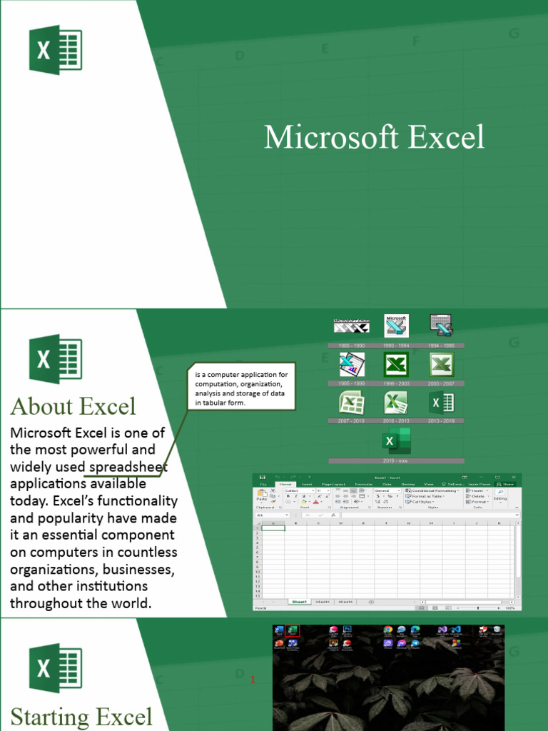 Microsoft Excel | PDF