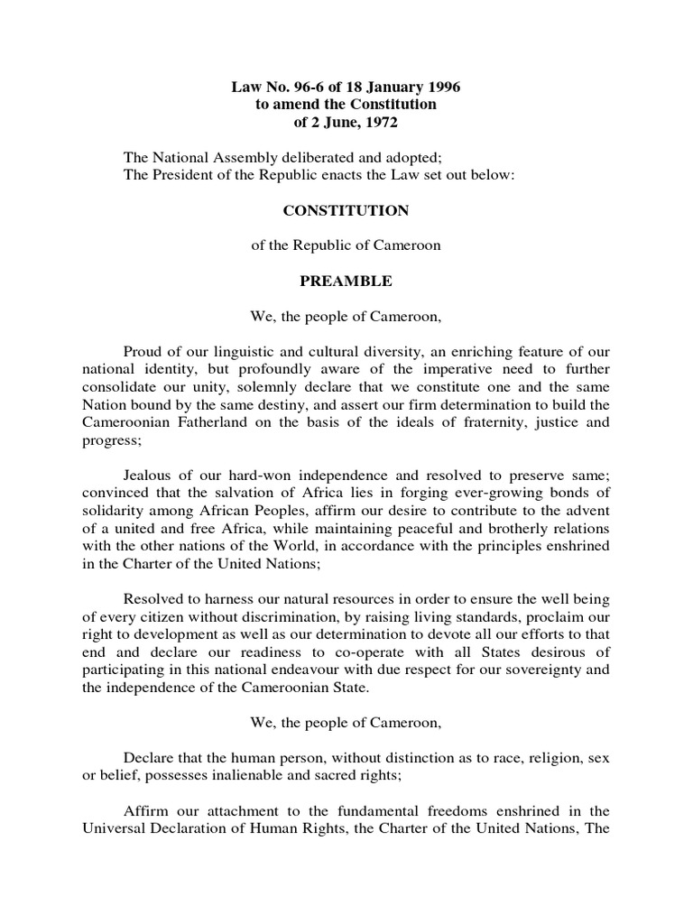 The Constitution | PDF