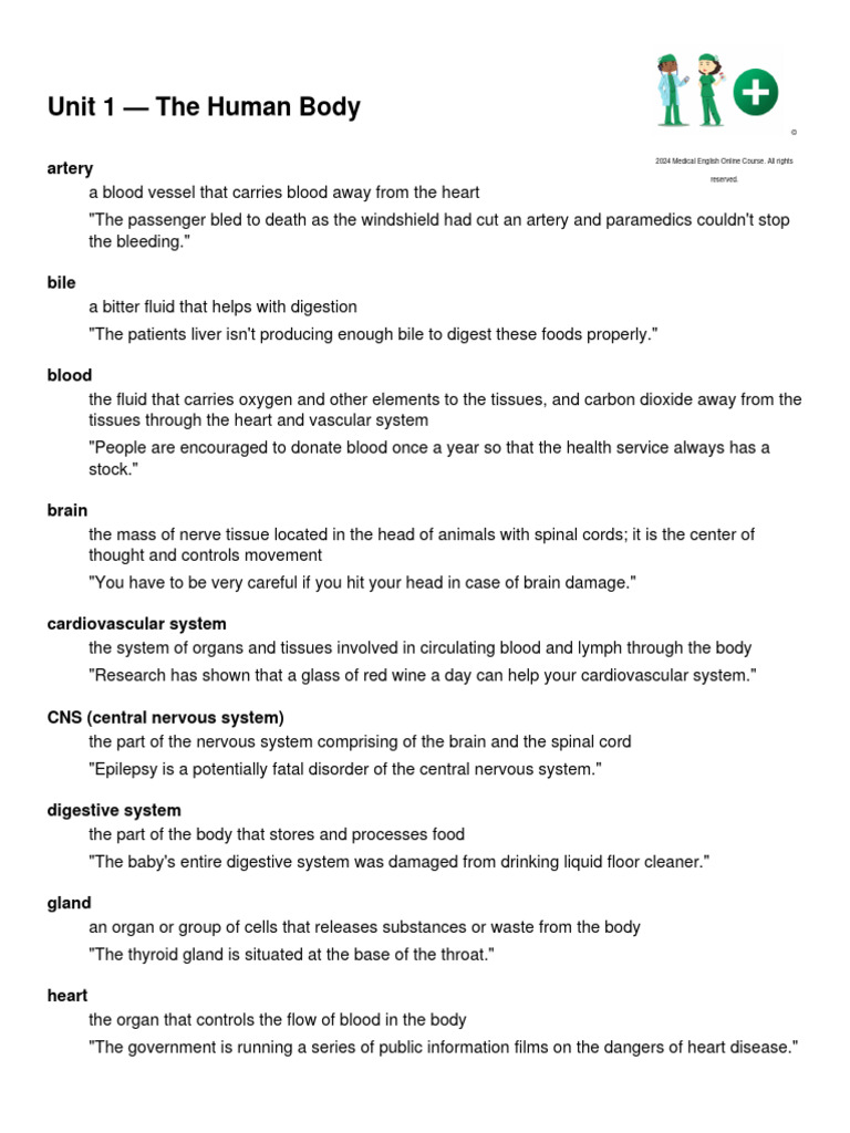 Medical Vocabulary: The Human Body | PDF | Human Body | Blood