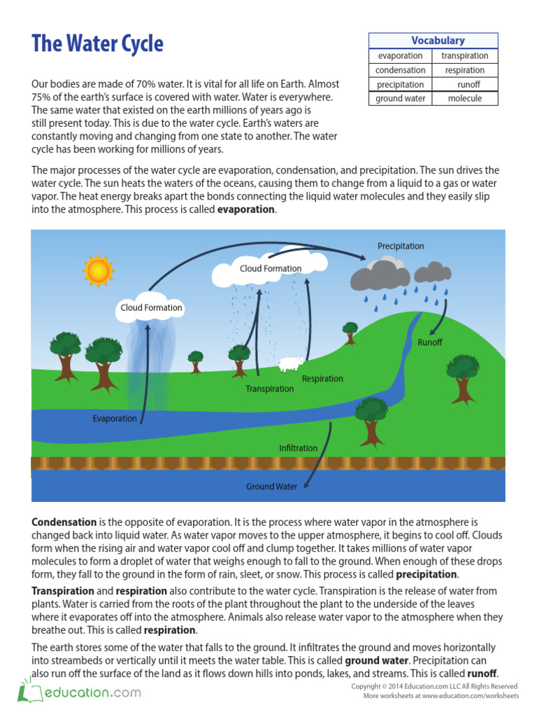 Water-Cycle Sheet | PDF