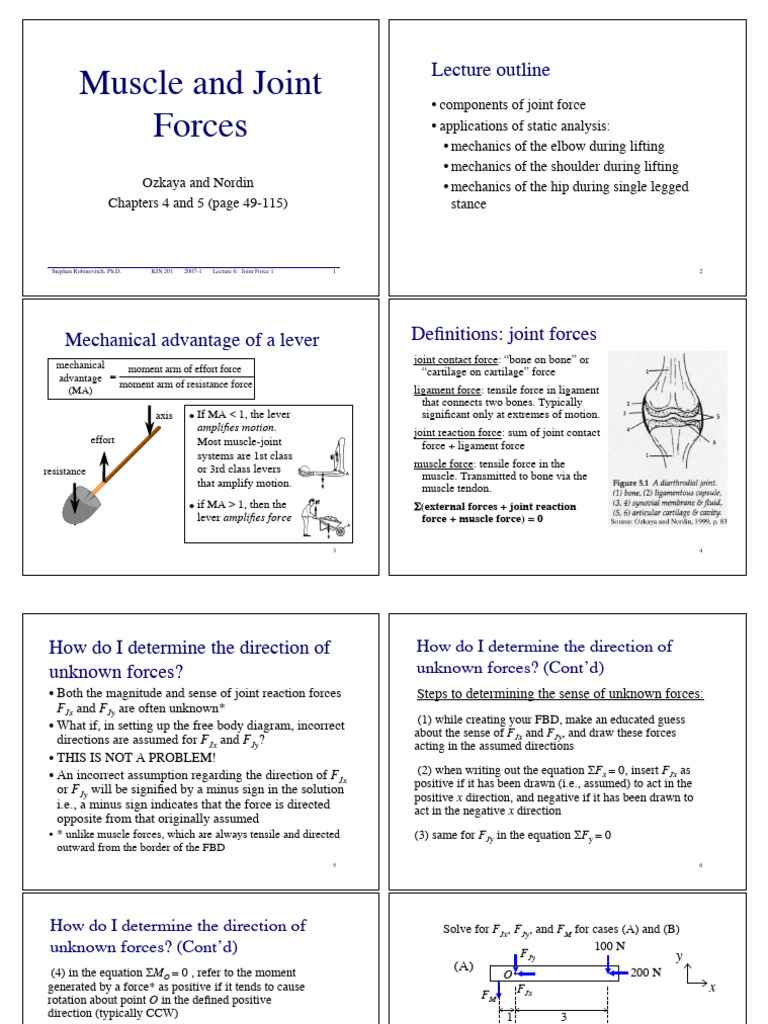 Statics | PDF