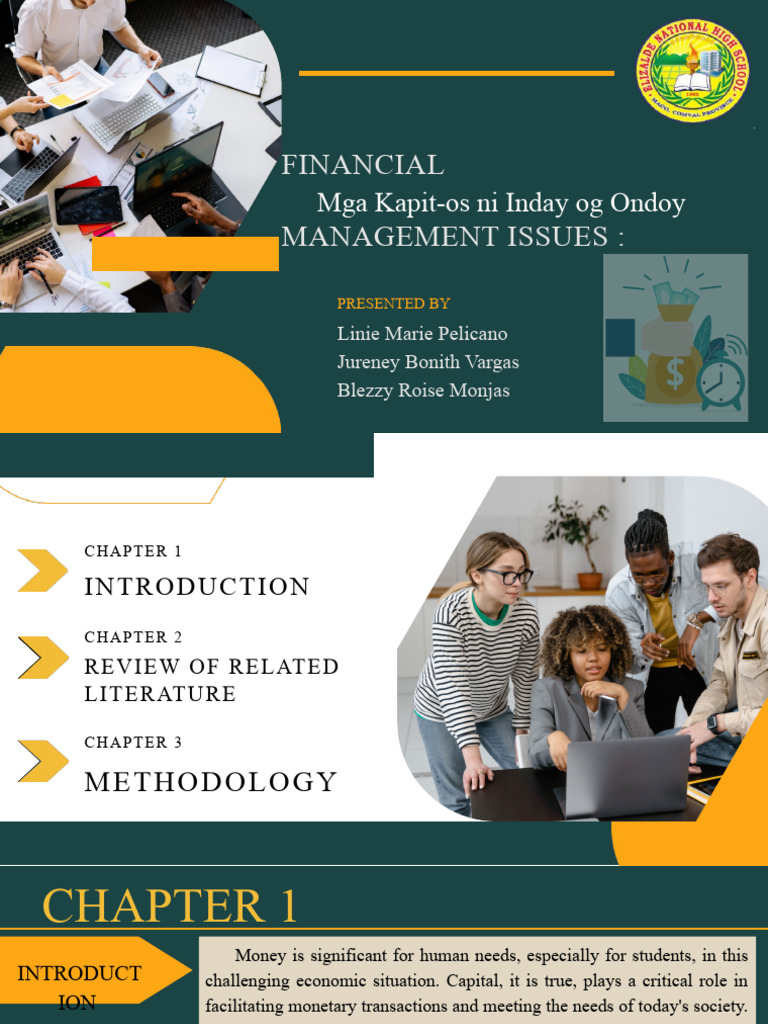 Financial Management Issues | PDF | Cost Of Living | Qualitative Research